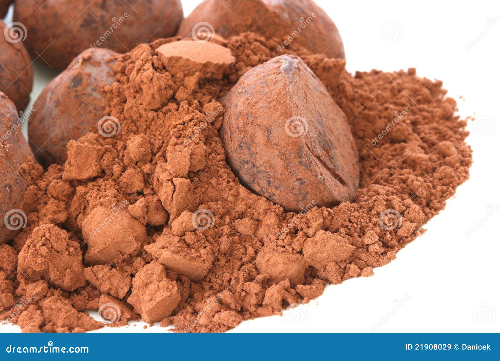 Chocolate Truffle Pralines Sweets in Cocoa Powder Stock Image - Image ...