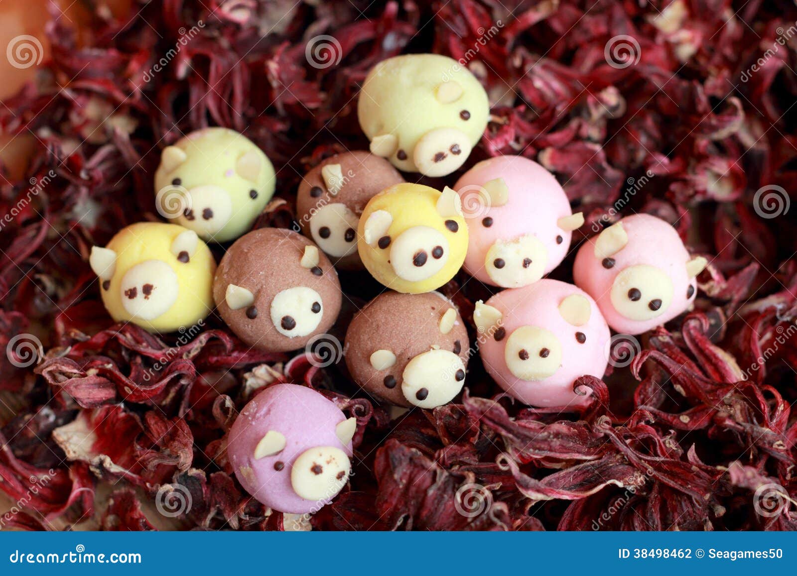 Chocolates Pig Snack - on Dried Okra. Stock Photo - Image of drink ...