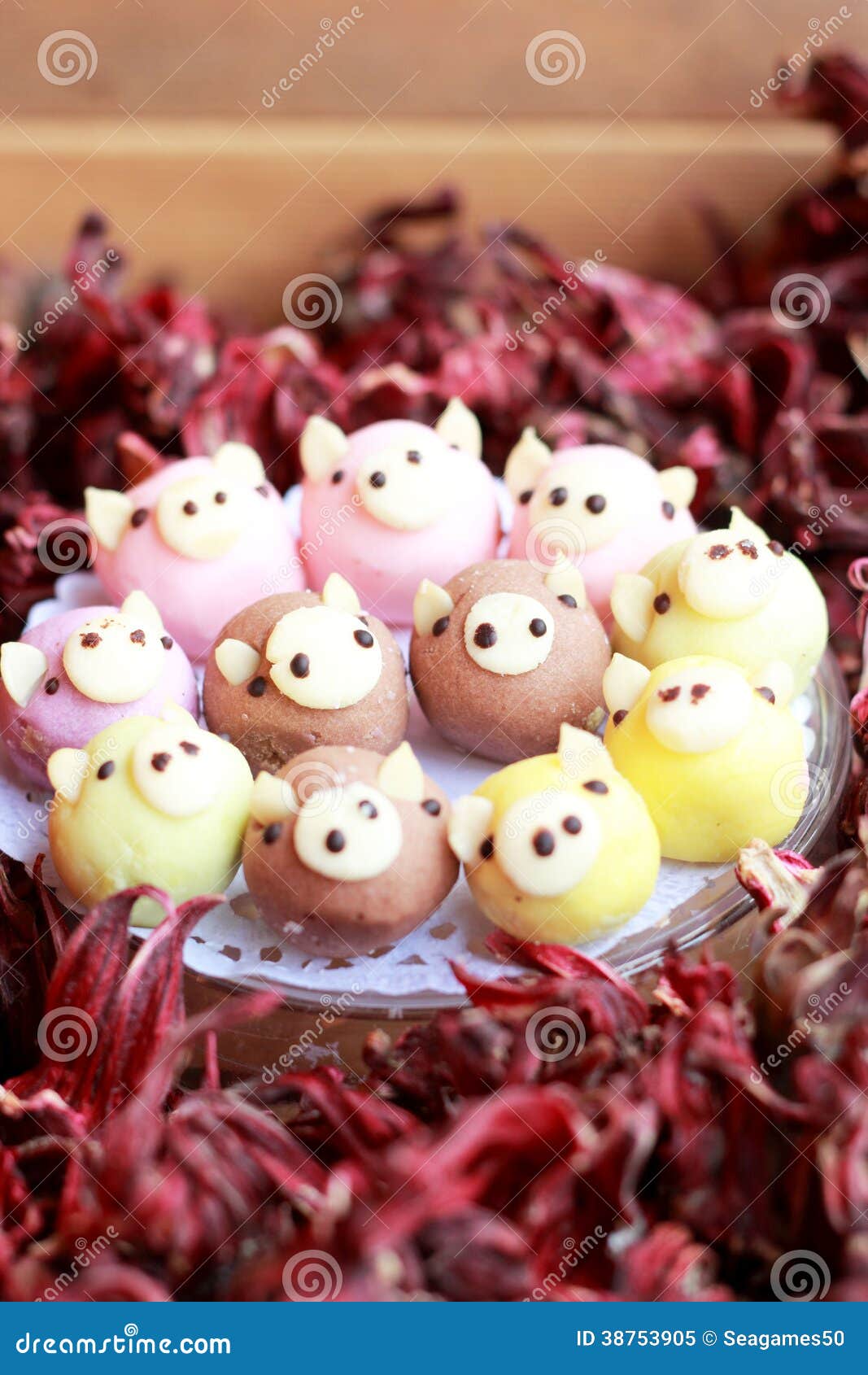 Chocolates Pig Snack - on Dried Okra. Stock Image - Image of roselle ...