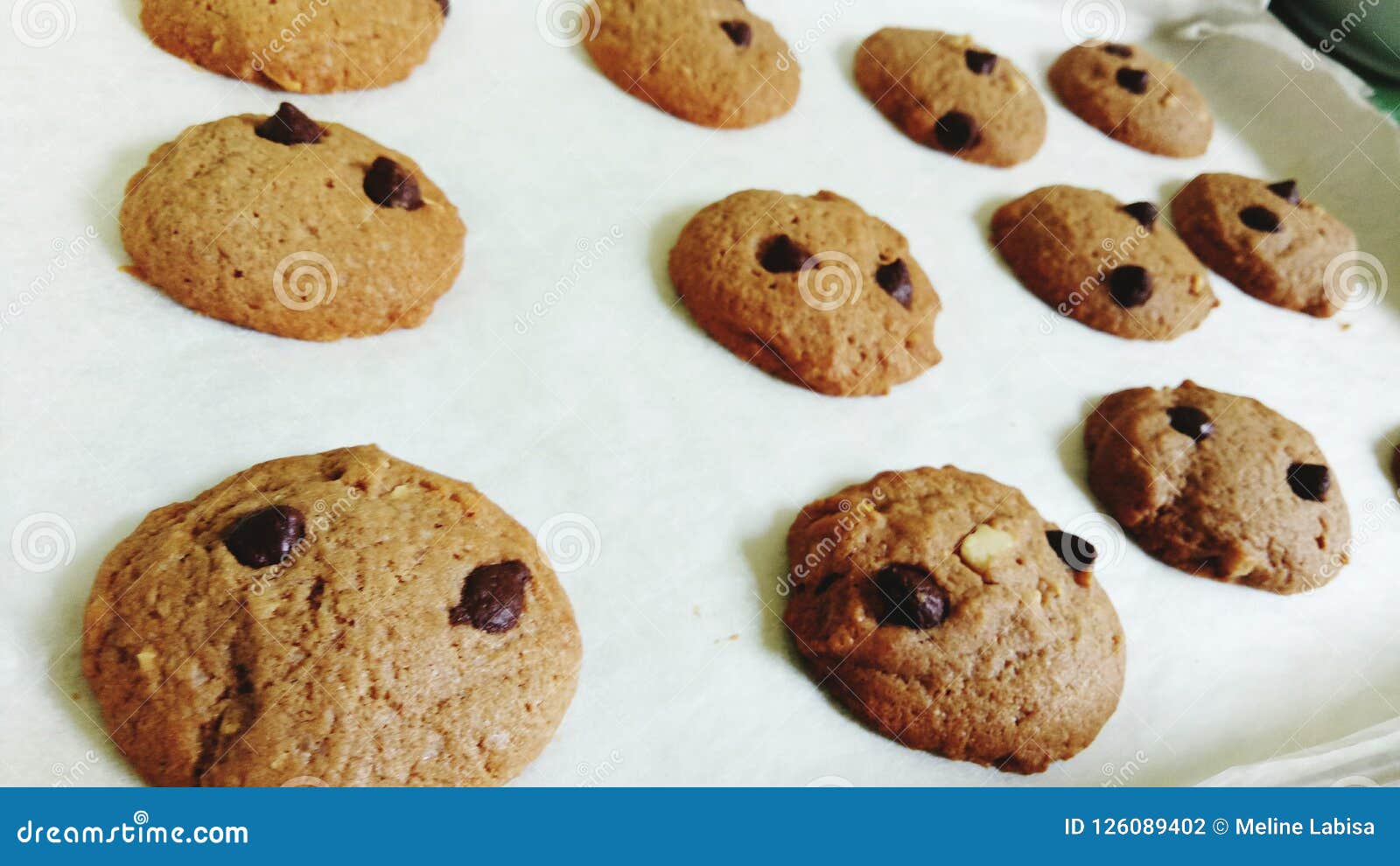 Choconut stock photo. Image of chips, cookies, peanuts - 126089402