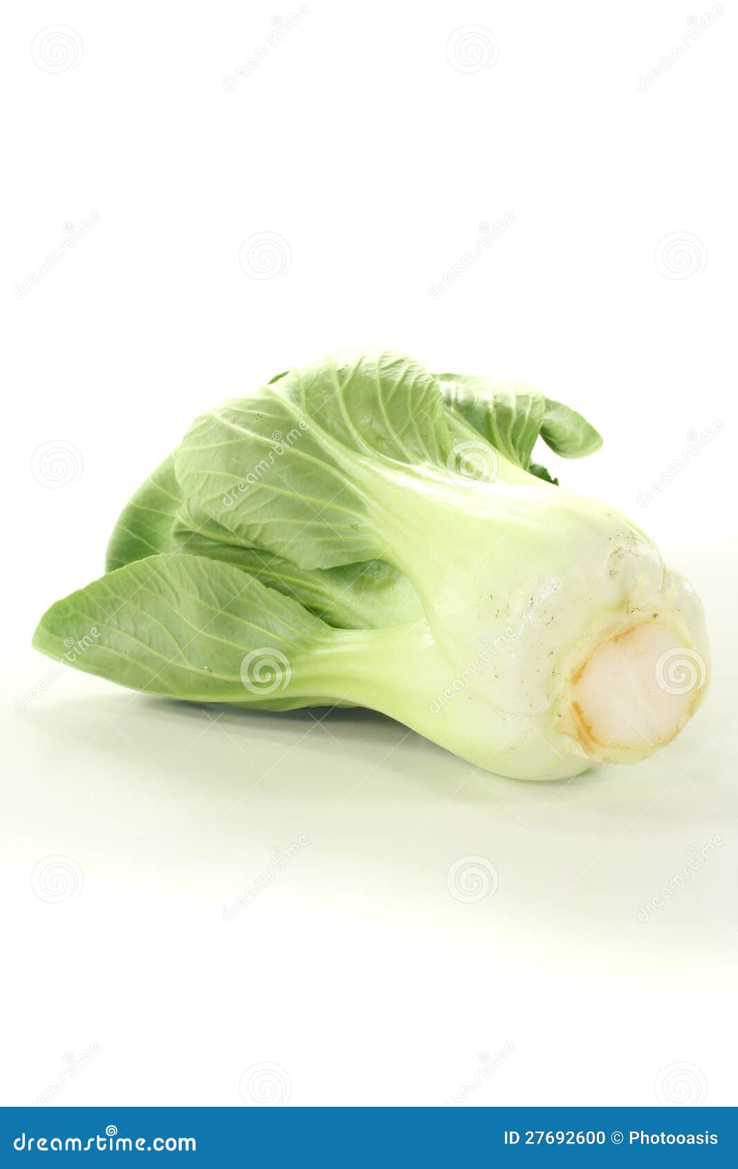 Choi fresco de pak foto de archivo. Imagen de japonés - 27692600