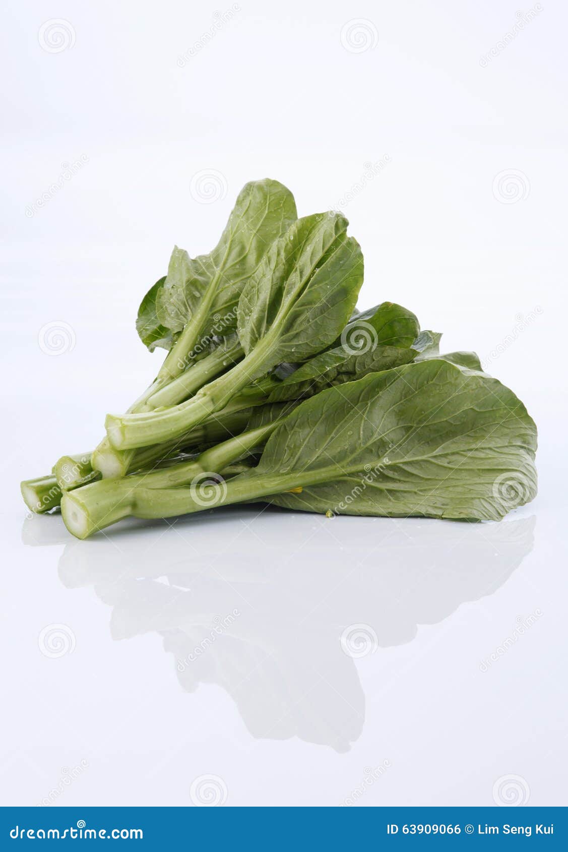 Choi Sum photo stock. Image du chou, isolement, découpage - 63909066