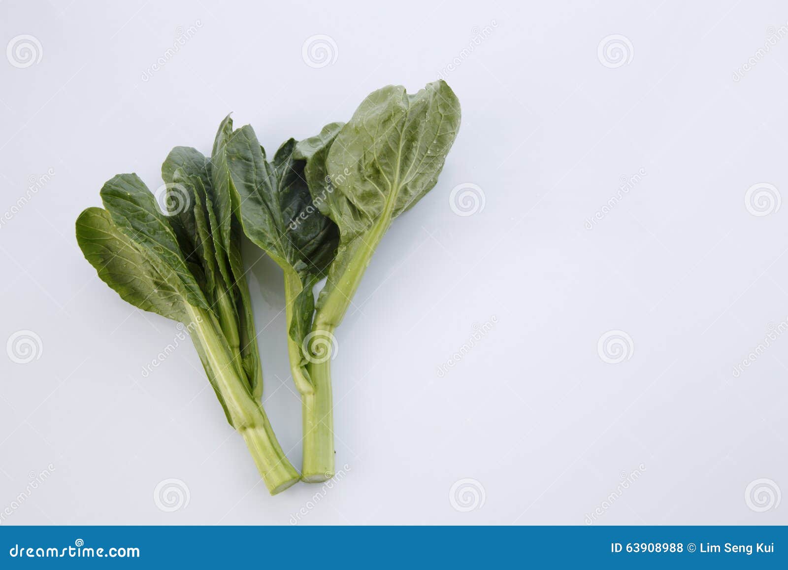 Choi sum stock photo. Image of oriental, texture, choy - 63908988