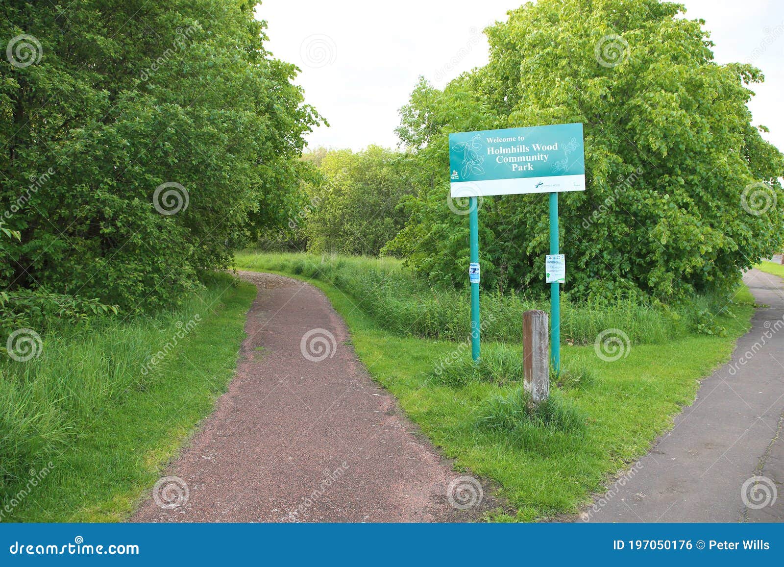 Choice of Alternative Paths at the Park Stock Photo - Image of ...