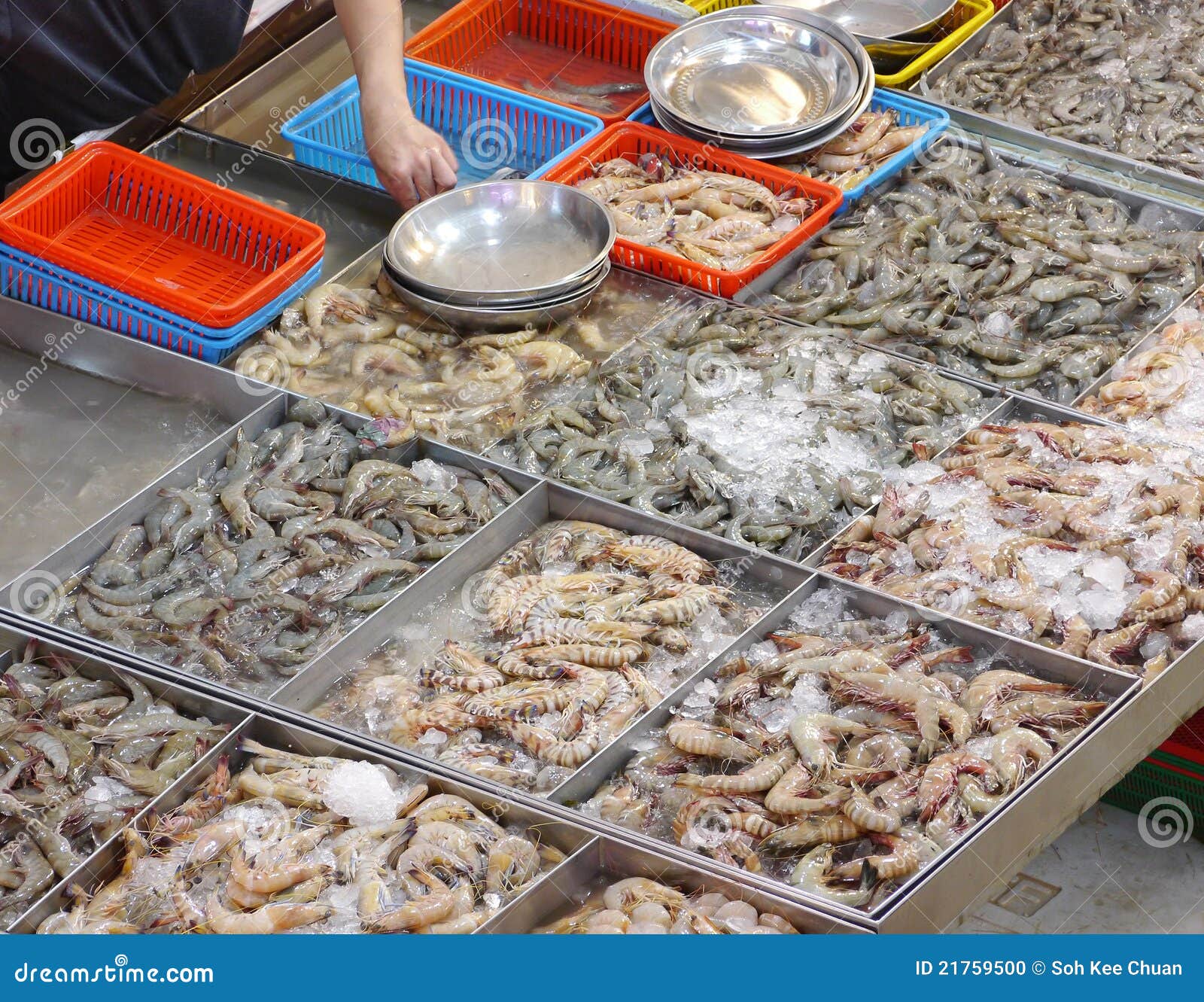 Choice of Assorted Prawns in Wet Market Stock Photo - Image of prawns ...