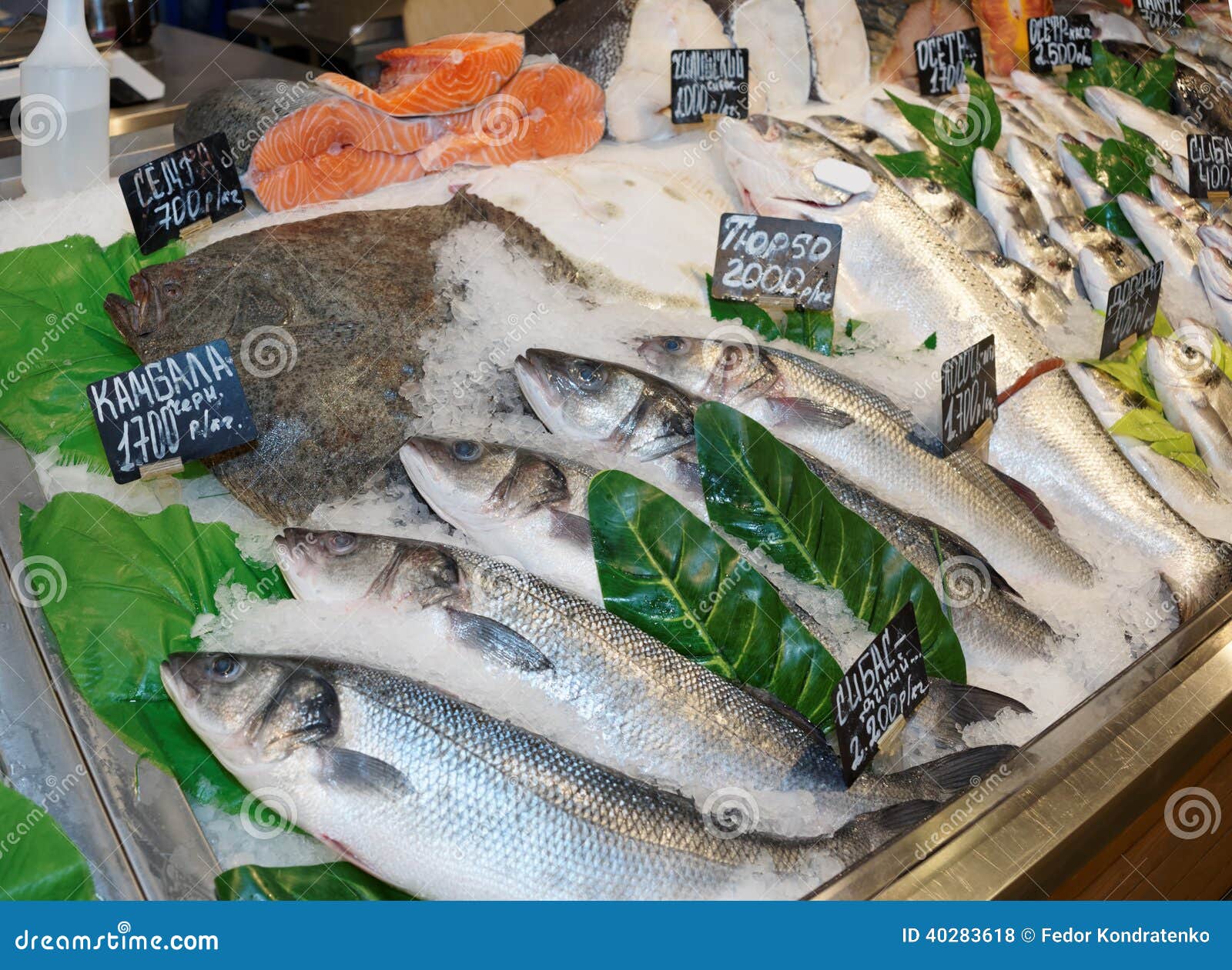 Choice of Fish at Food Market Stock Photo - Image of seabass, fish ...
