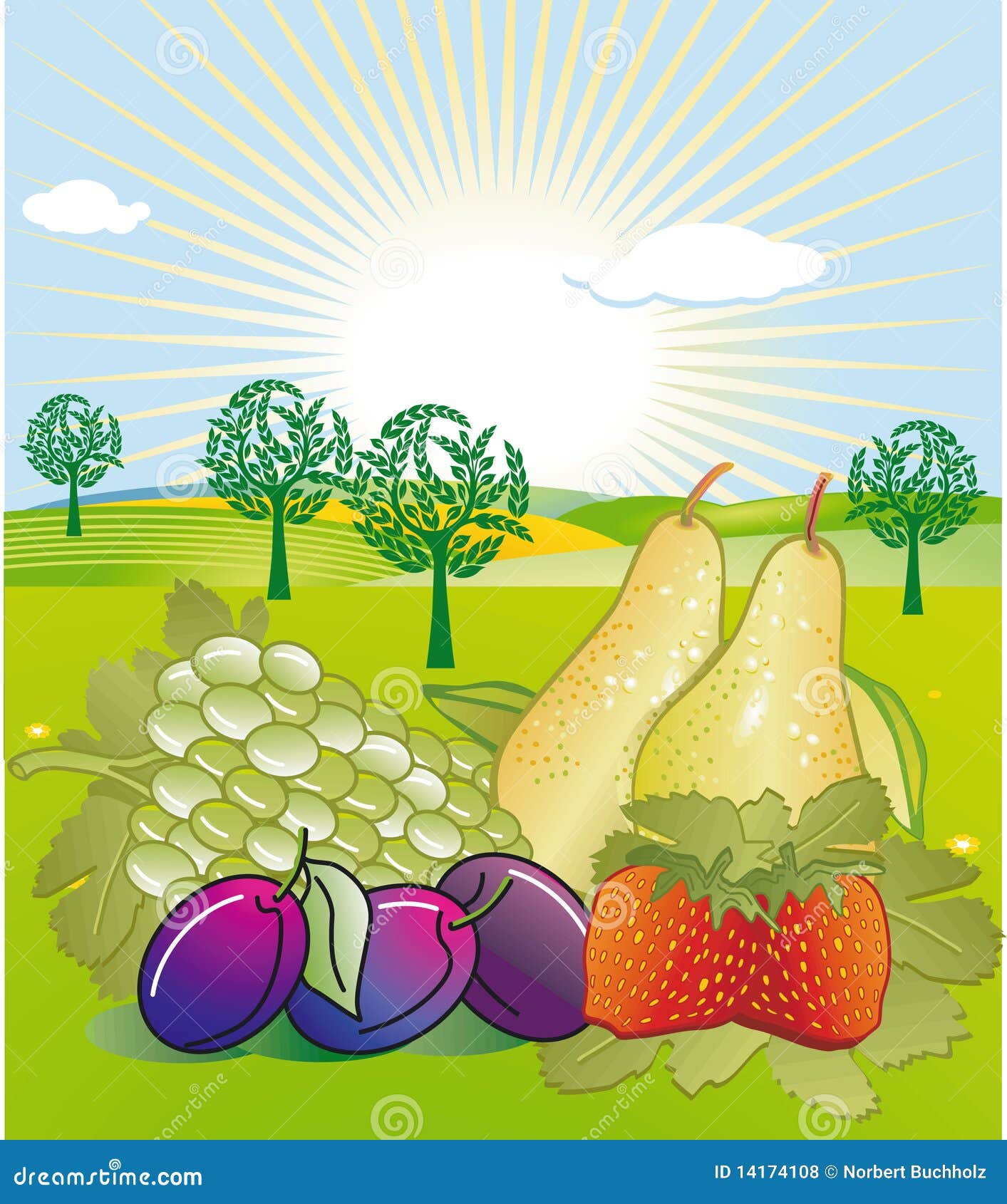 Choice fruit stock vector. Illustration of harvesting - 14174108