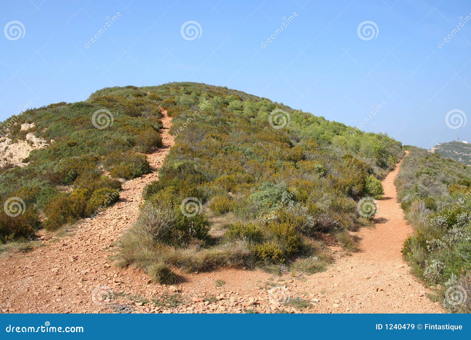 Choice of paths stock image. Image of hike, choice, arid - 1240479