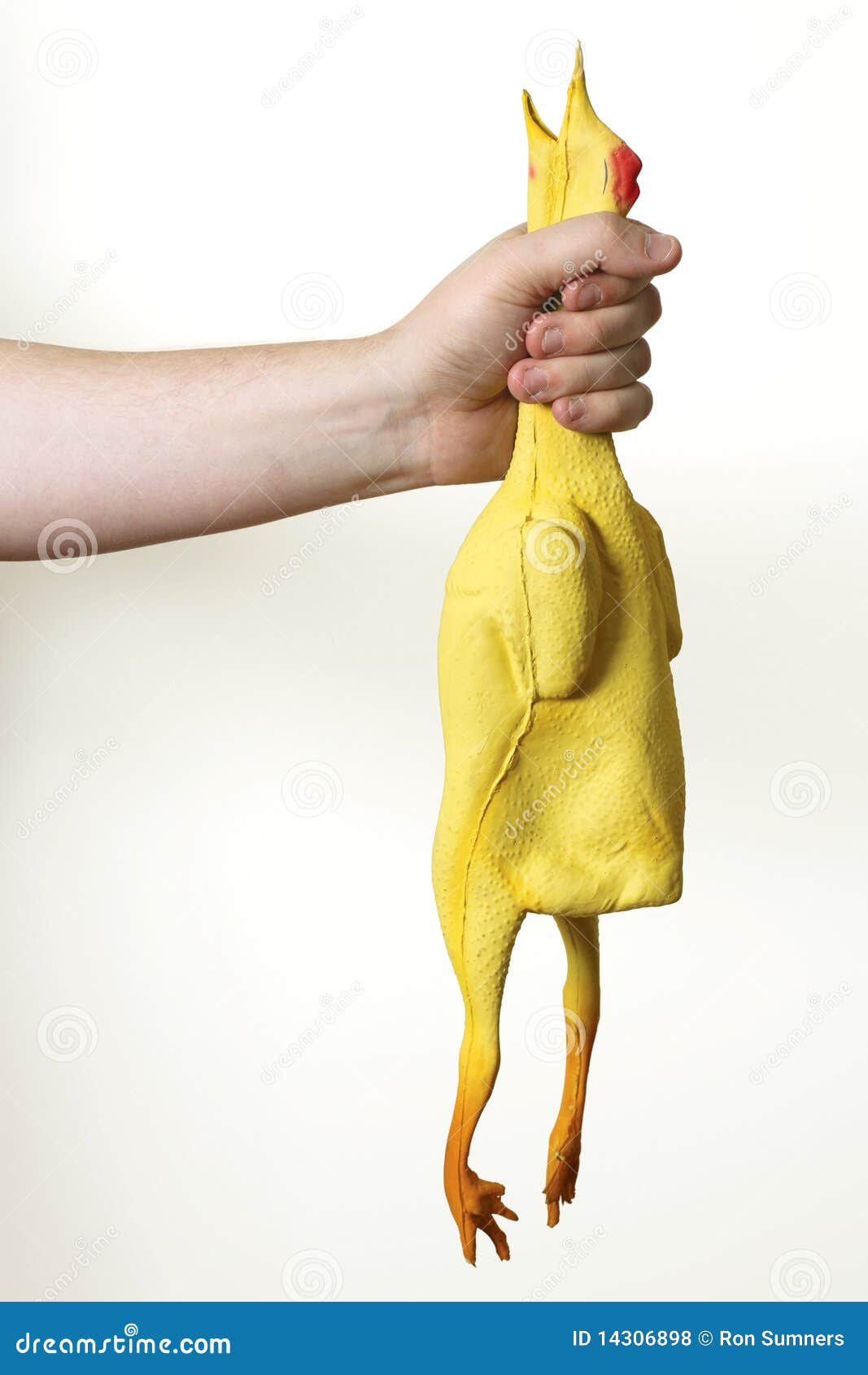 Choking the chicken stock photo. Image of path, metaphor - 14306898