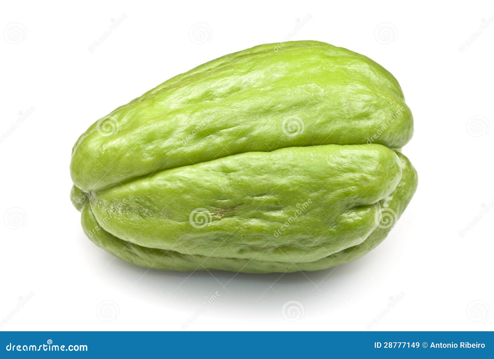 Choko stock image. Image of squash, food, chayote, ingredient - 28777149