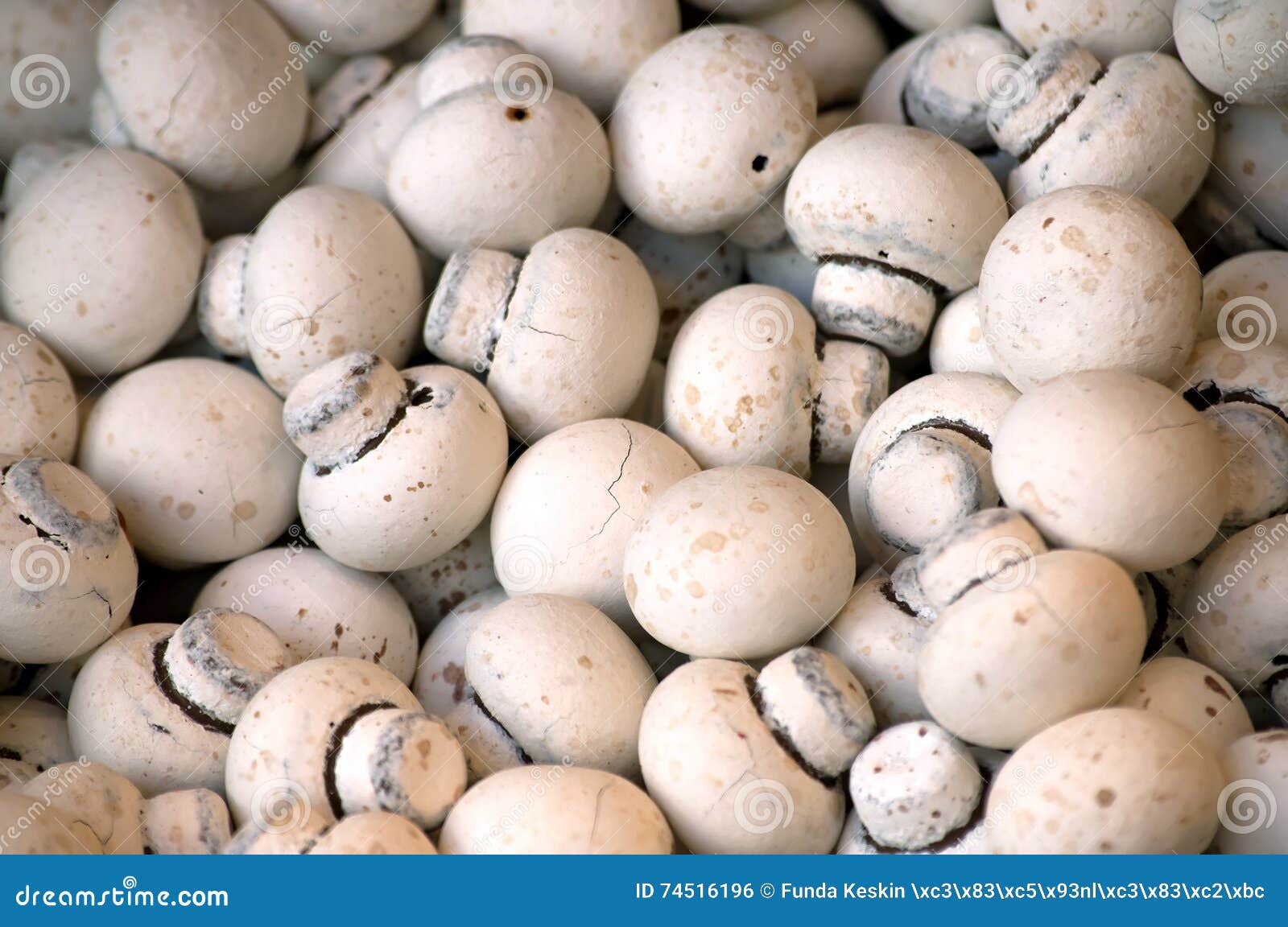 Choc- mushrooms stock photo. Image of color, jellybean - 74516196