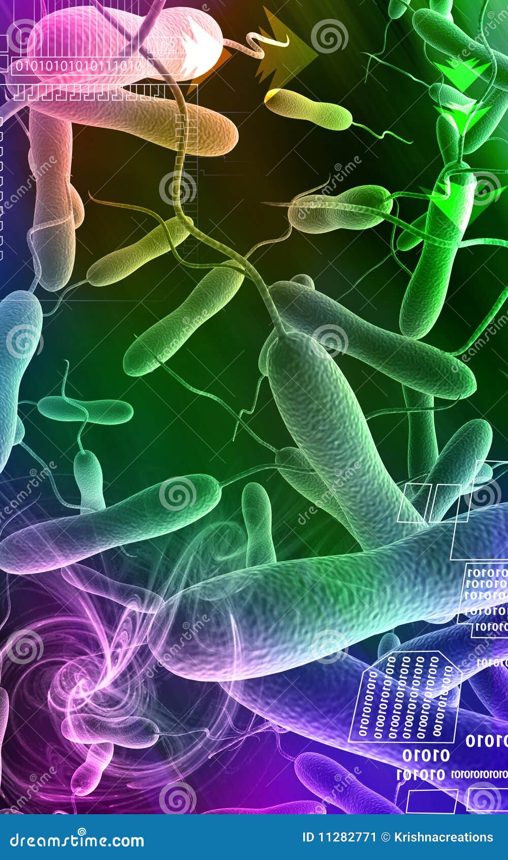 Cholera bacteria stock illustration. Illustration of bacteria - 11282771