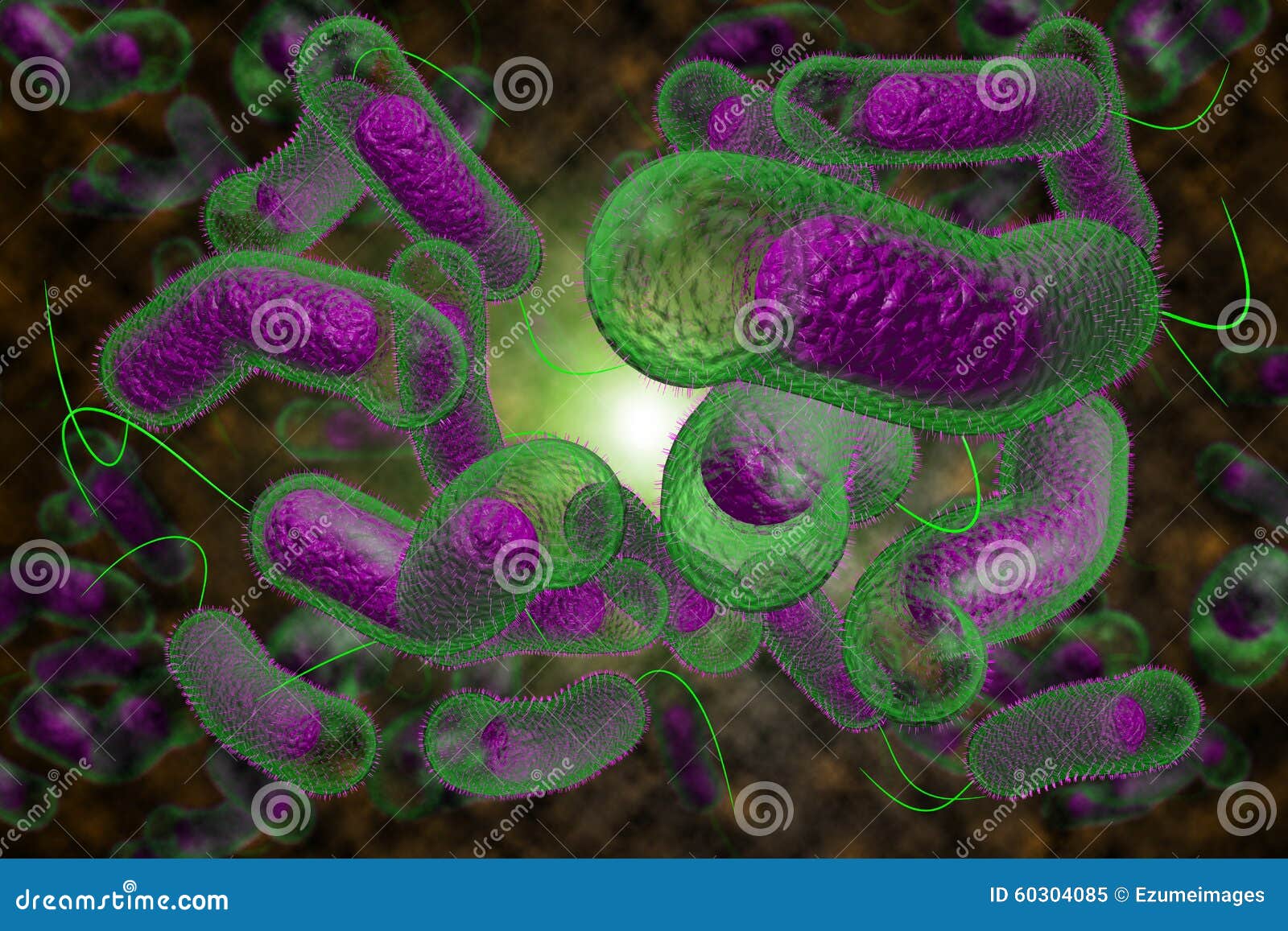 Cholera Bacteria stock illustration. Illustration of illness - 60304085