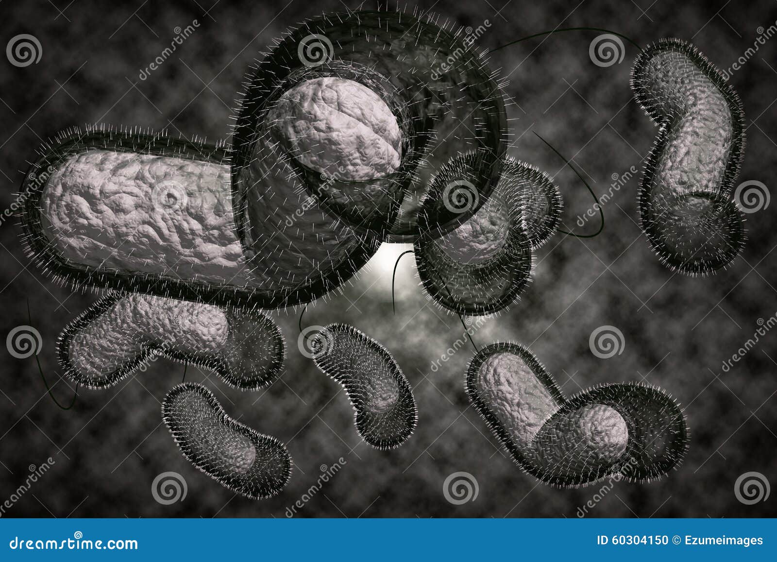 Cholera Bacteria Diagram