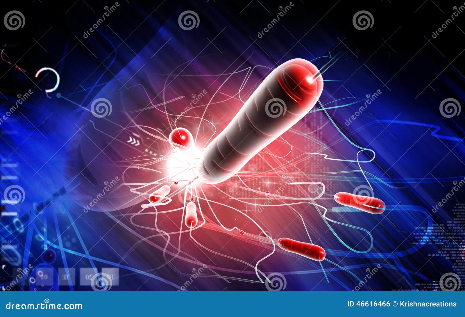 Cholera Bacteria Stock Illustration - Image: 46616466