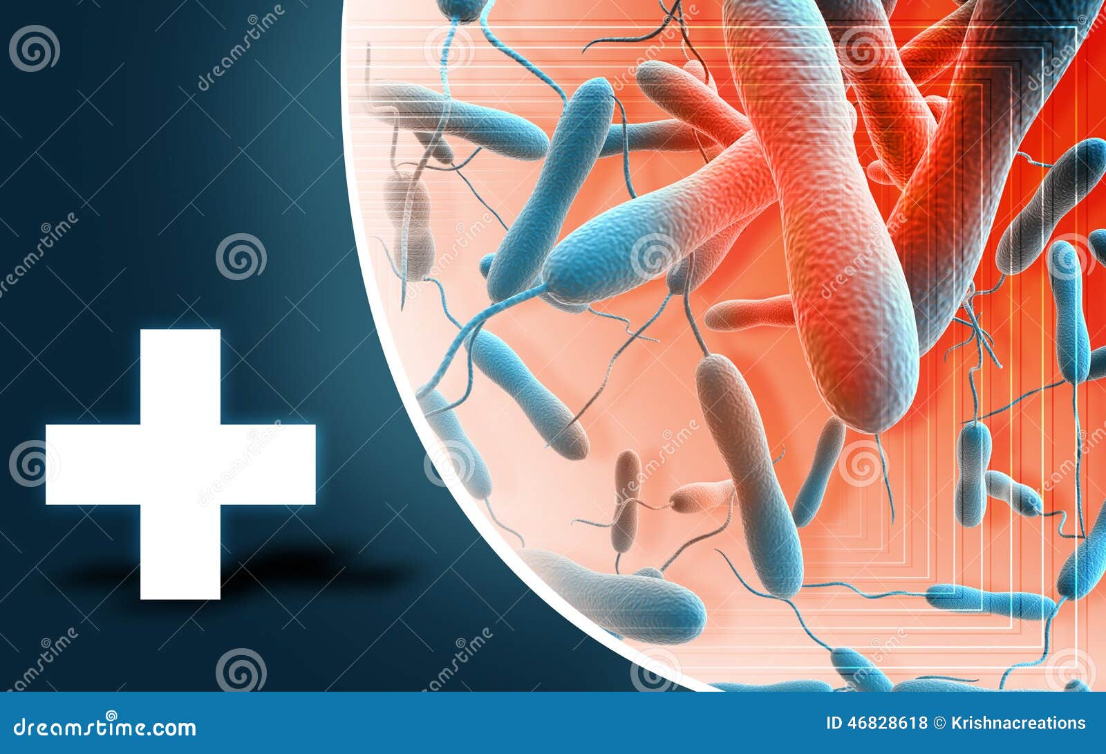 Cholera bacteria stock illustration. Illustration of graphics - 46828618