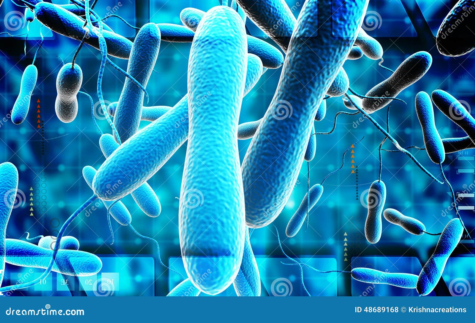 Cholera bacteria stock illustration. Illustration of organ - 48689168