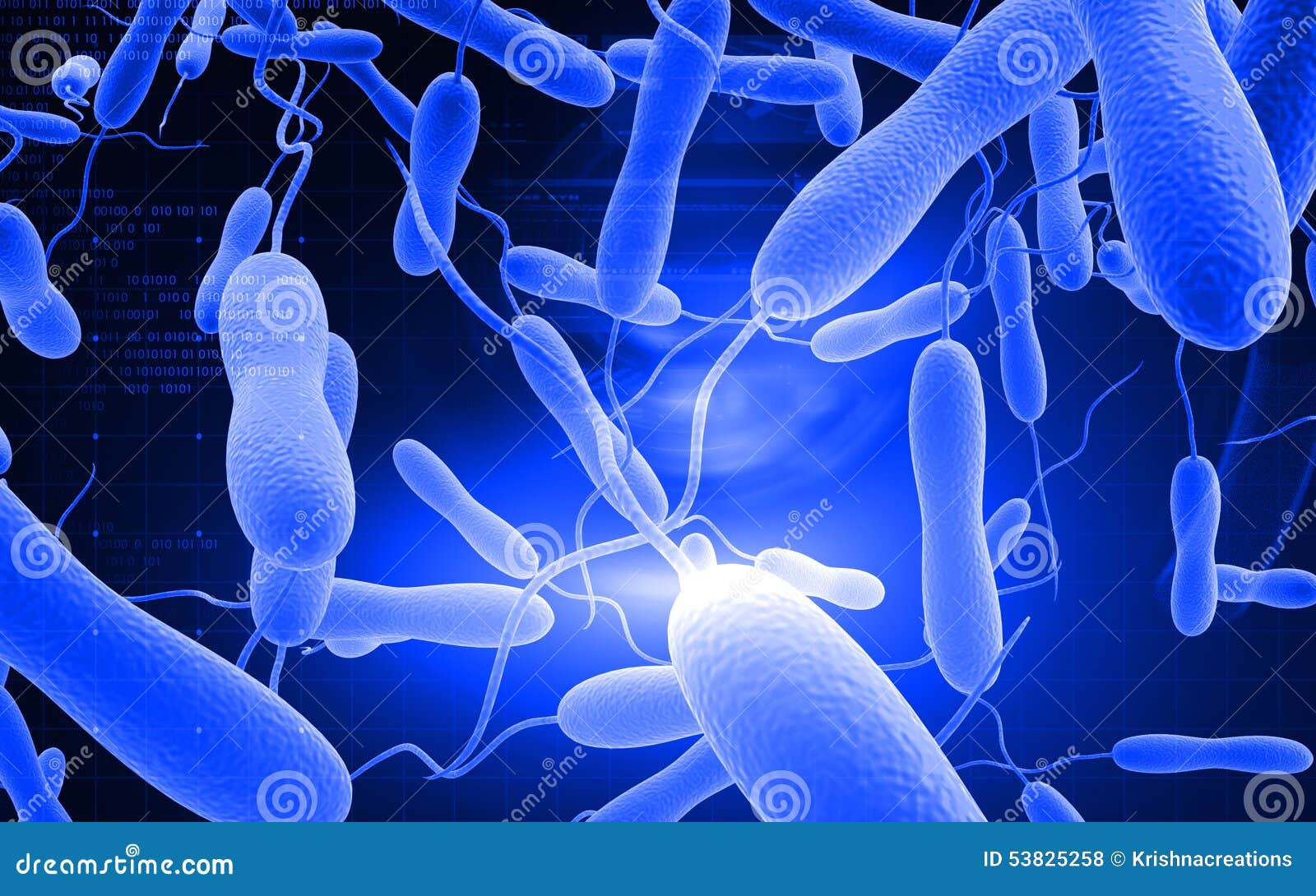 Cholera bacteria stock illustration. Illustration of blue - 53825258