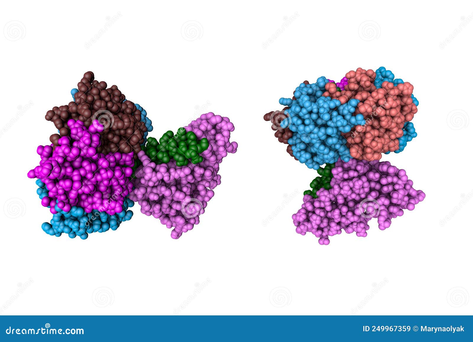 Cholera Toxin Produced by Bacterium Vibrio Cholerae. Space-filling ...