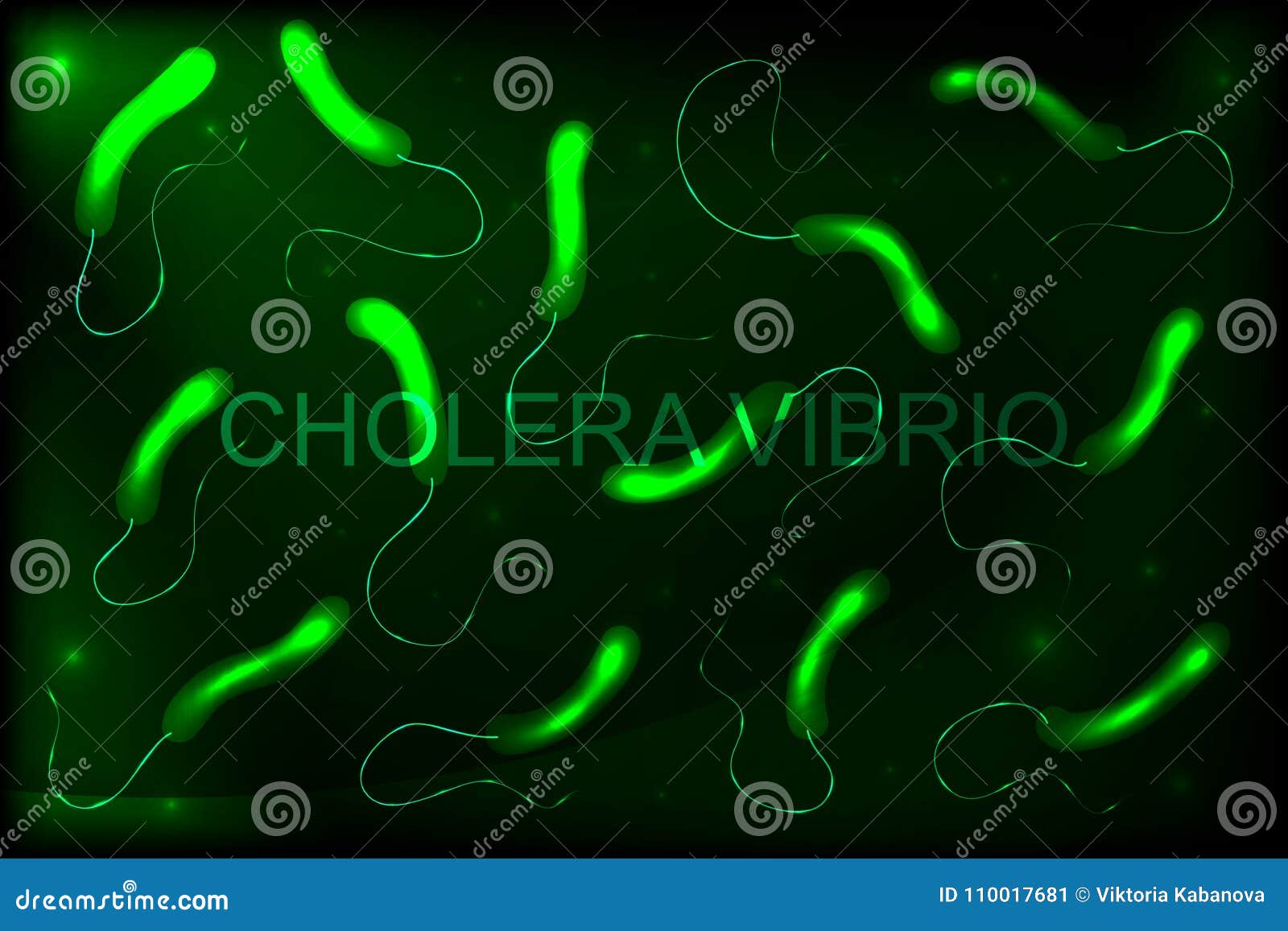 Cholera vibrio. bacteria stock vector. Illustration of medicine - 110017681