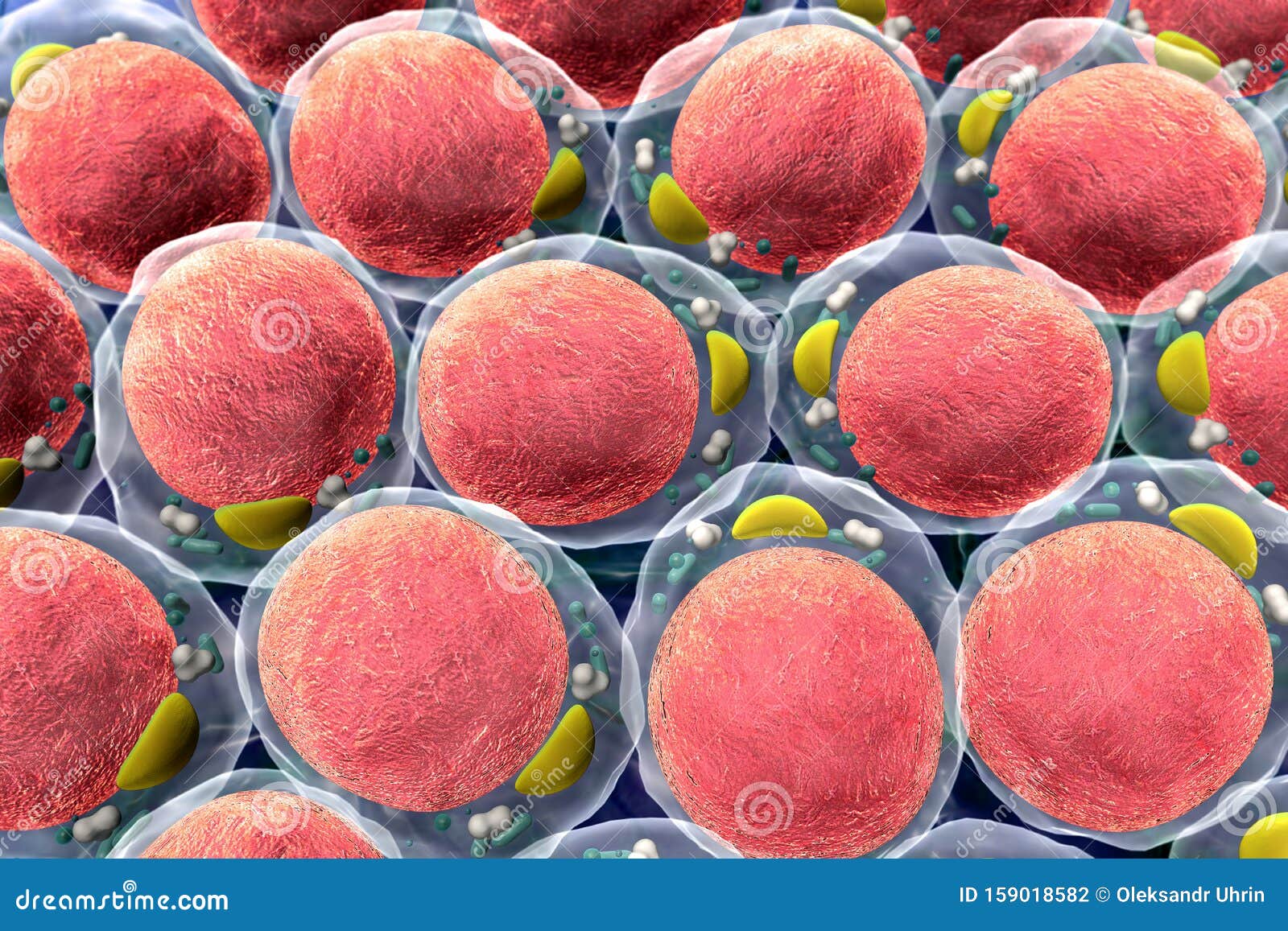 3d Render Cell Membrane Phospholipid Bilayer. Layers Of Molecules. Gene ...