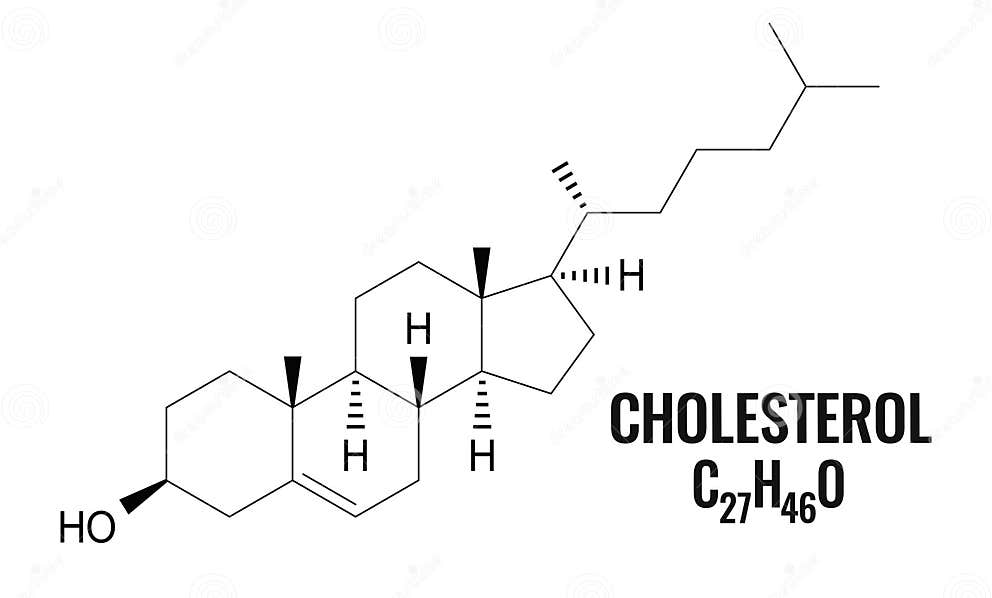 Cholesterol Formula, Chemical Model of Molecule Stock Vector ...