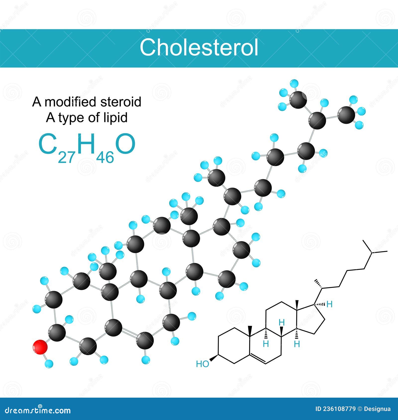 Cholesterol Formula On White Background. 3d Cholesterol Formula Vector ...
