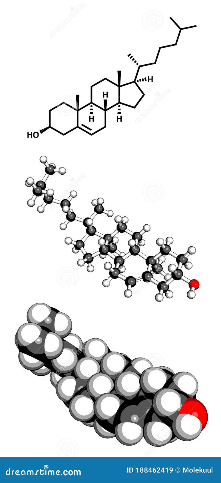 Cholesterol, Molecular Model Stock Illustration - Illustration of atom ...