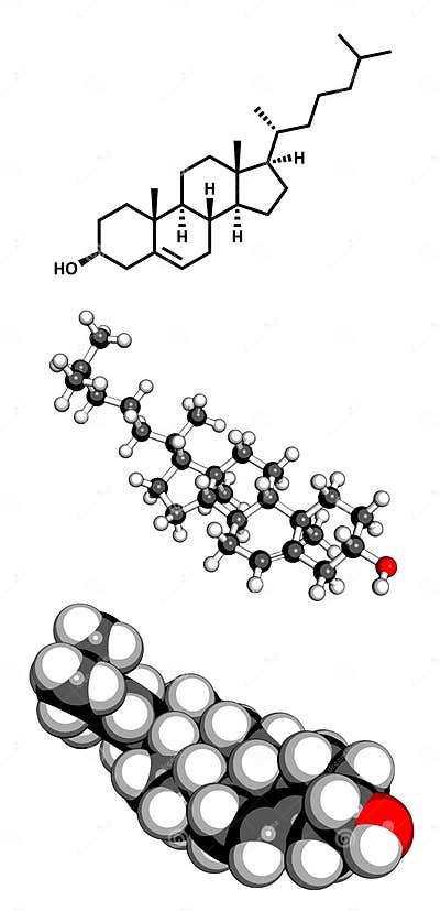 Cholesterol, Molecular Model Stock Illustration - Illustration of atom ...