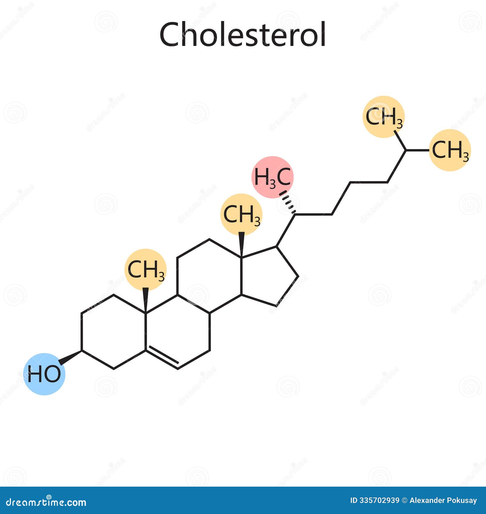 Cholesterol Molecular Structure Chemical Diagram Stock Illustration ...