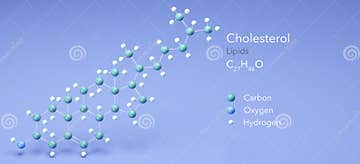Cholesterol, Molecular Structures, Lipids, 3d Model, Structural ...