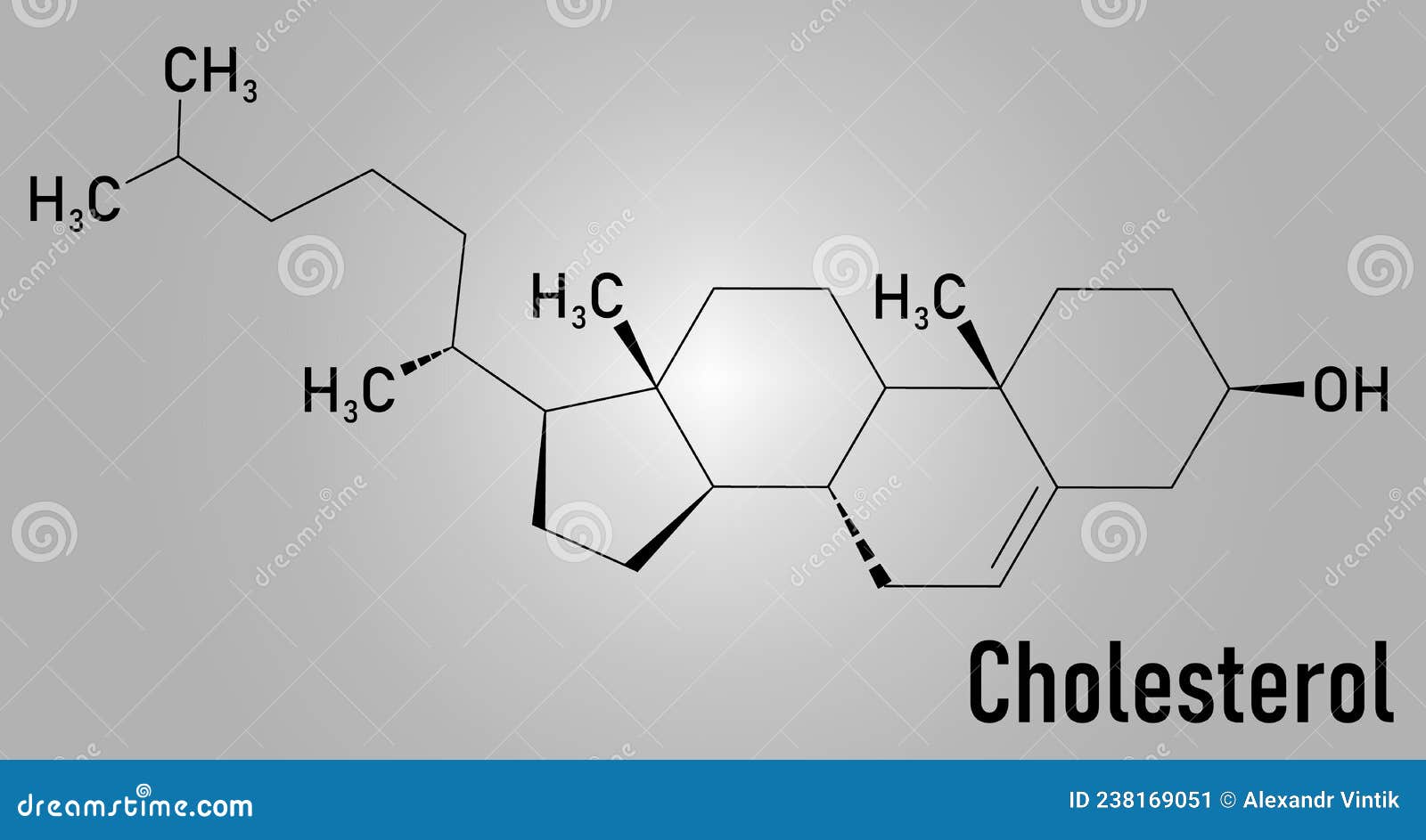 Cholesterol Molecule. Skeletal Formula. Cemical Structure. Vector ...