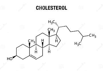 Cholesterol Structural Formula of Molecular Structure Stock Vector ...