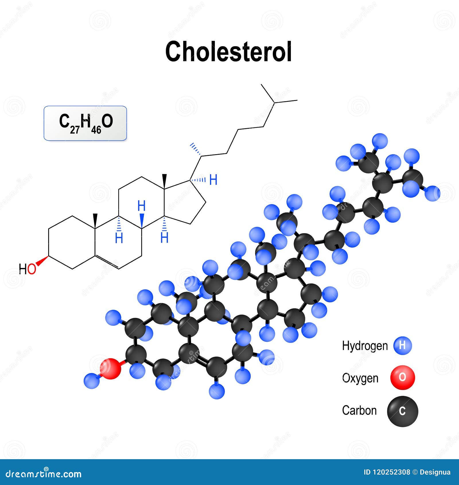 Cholesterol Structuur Van Een Molecule Vector Illustratie ...