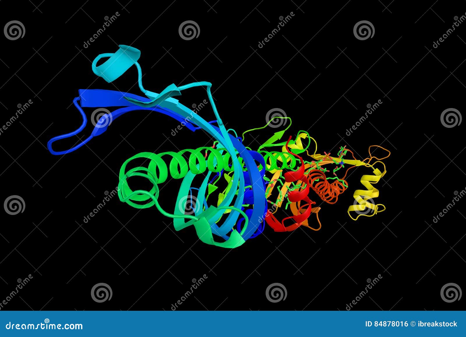 Cholesteryl Ester Transfer Protein 3d Structure Stock Illustration ...