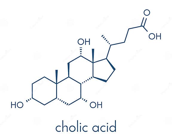 Cholic Acid Cholate Molecule. Main Bile Acid Component. Skeletal ...