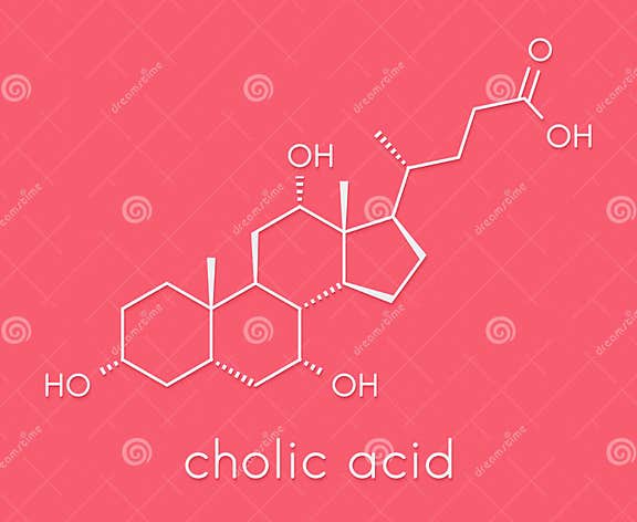 Cholic Acid Cholate Molecule. Main Bile Acid Component. Skeletal ...