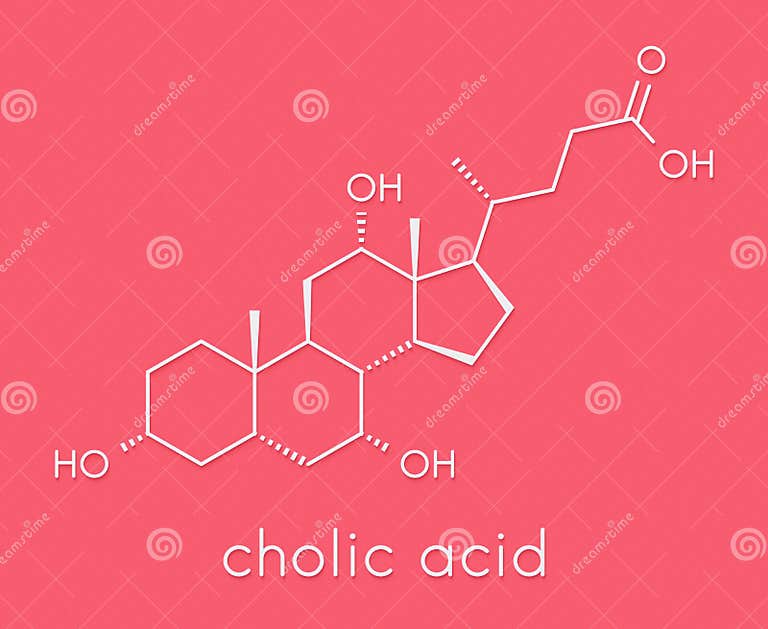 Cholic Acid Cholate Molecule. Main Bile Acid Component. Skeletal ...
