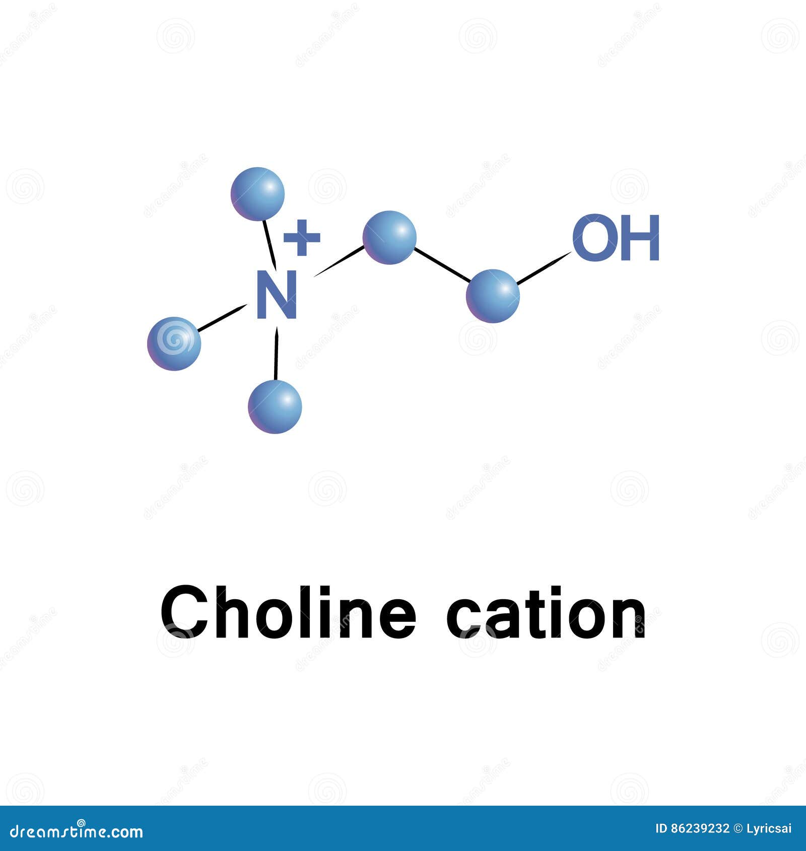 Choline cation molecule stock vector. Illustration of chemical - 86239232