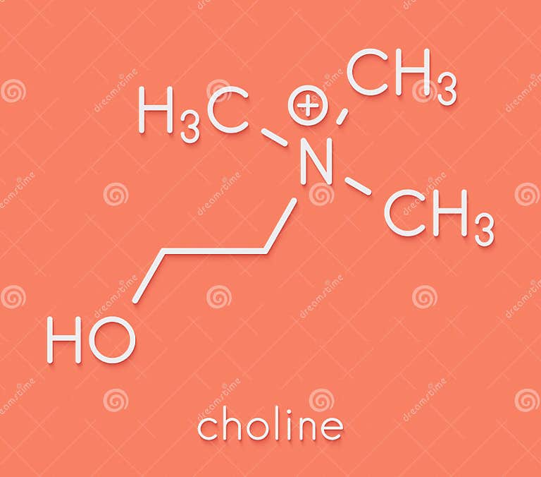 Choline Essential Nutrient Molecule. Skeletal Formula. Stock ...