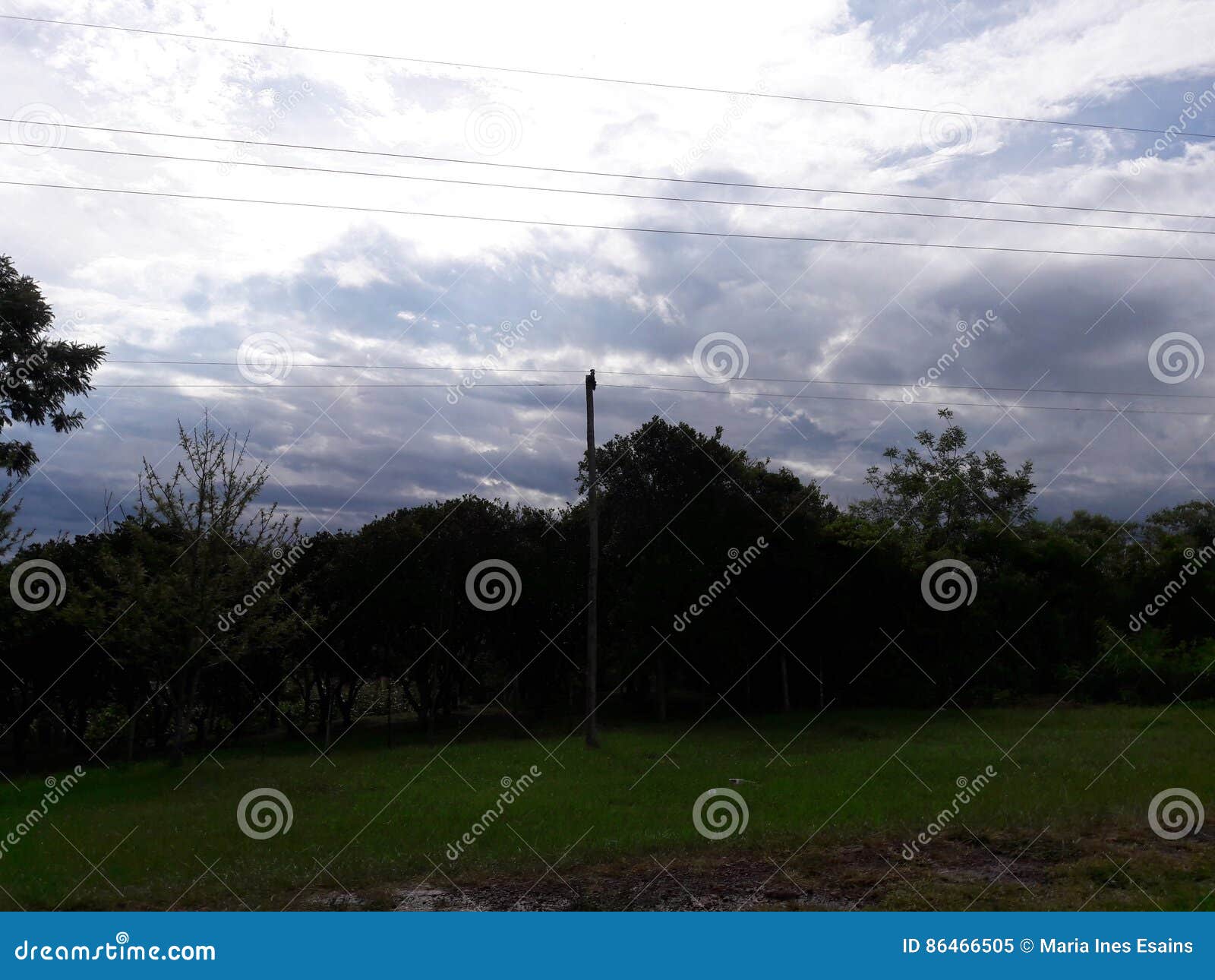 Chololo Nature Stock Photos - Free & Royalty-Free Stock Photos from ...