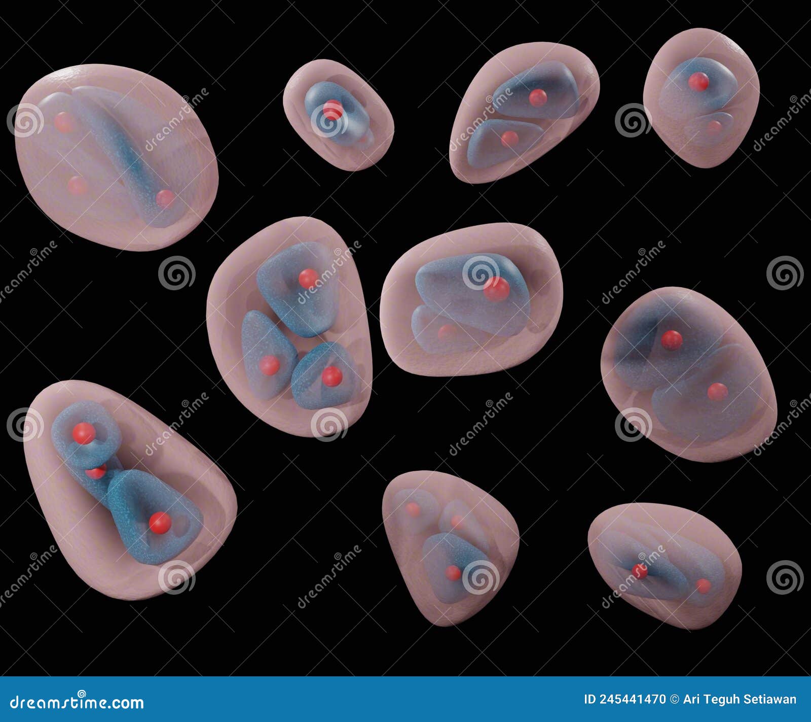 The Chondrocyte in Cartilage Matrix Has Rounded or Polygonal Structure ...