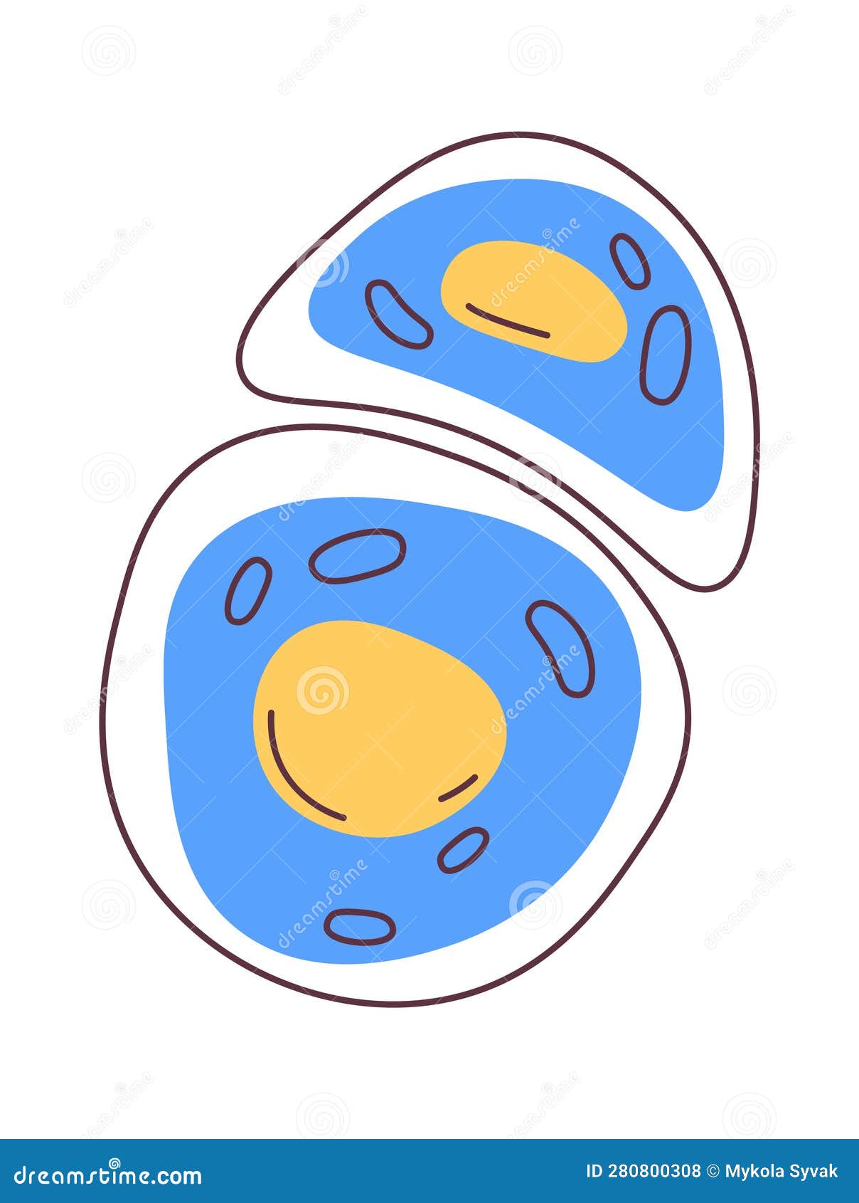 Chondrocyte Human Cell stock vector. Illustration of human - 280800308