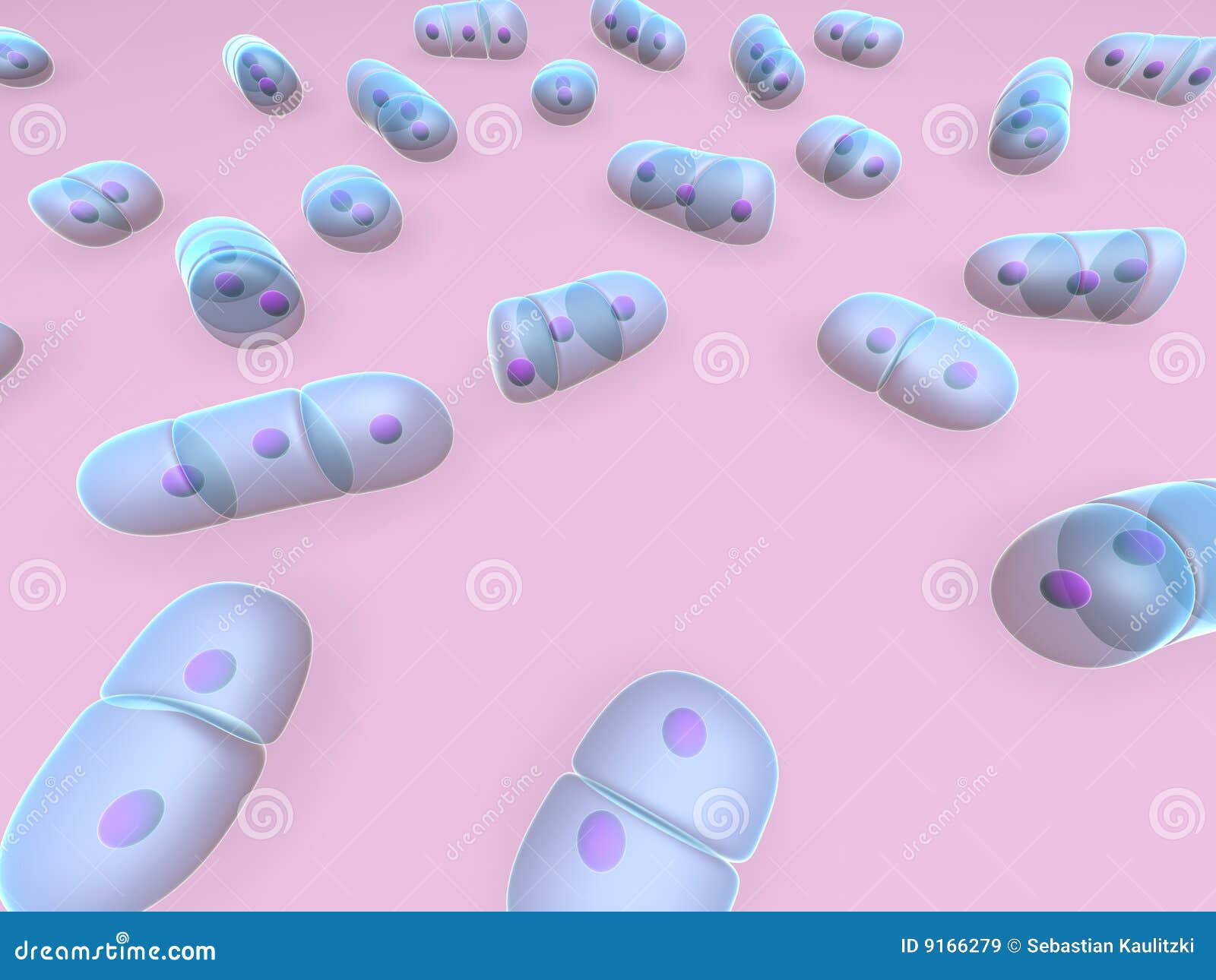 Chondrocytes stock illustration. Illustration of chondrocyte - 9166279