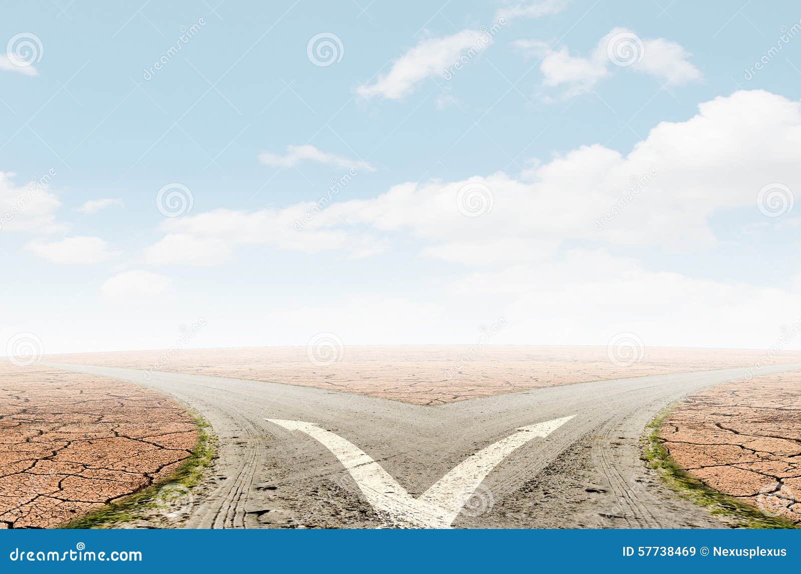 Choose correct way stock image. Image of success, nature - 57738469