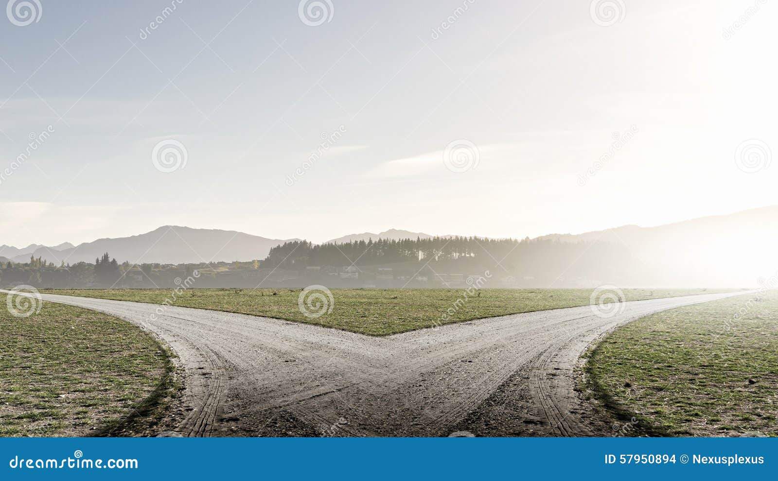 Choose correct way stock photo. Image of choose, business - 57950894