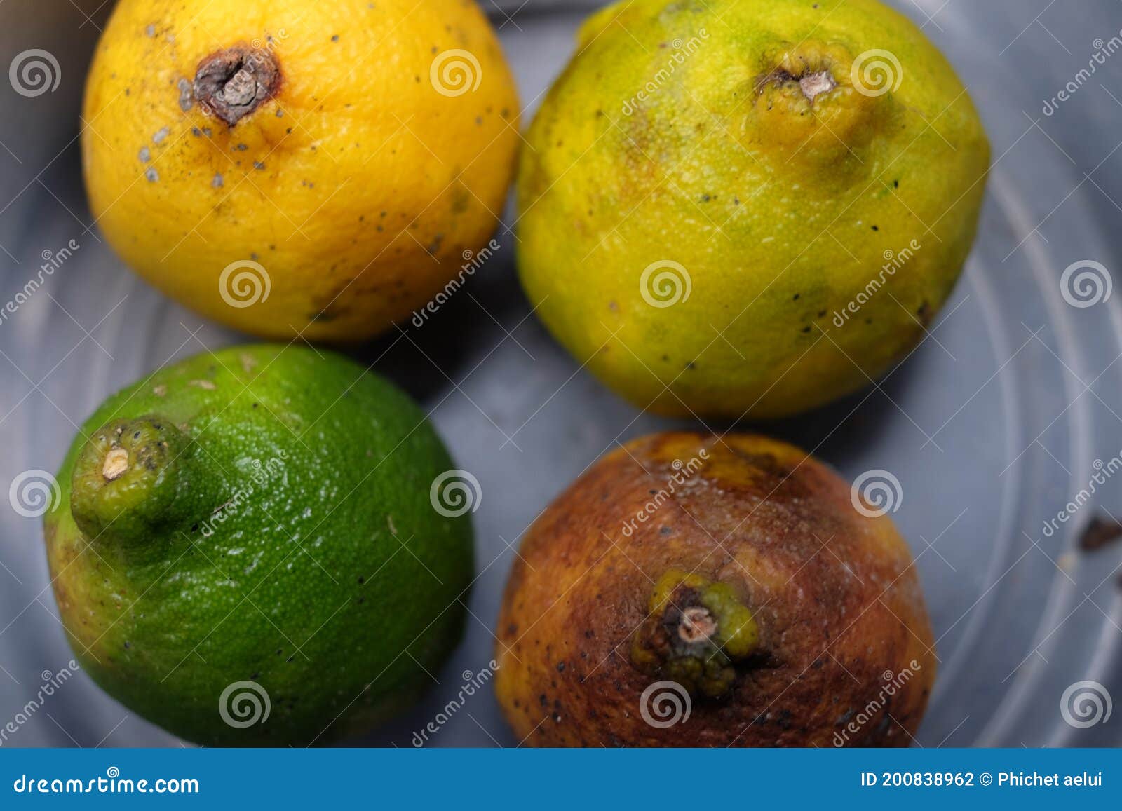 Choose from Four Rotten Orange Focus Points. the Damaged Color Has Dark ...