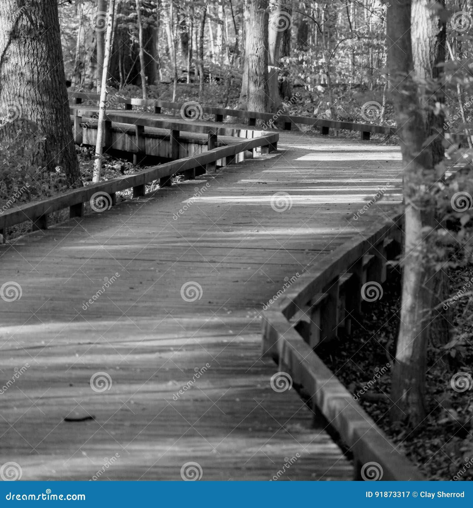 Choose the Narrow Path. stock image. Image of vogue, peaceful - 91873317