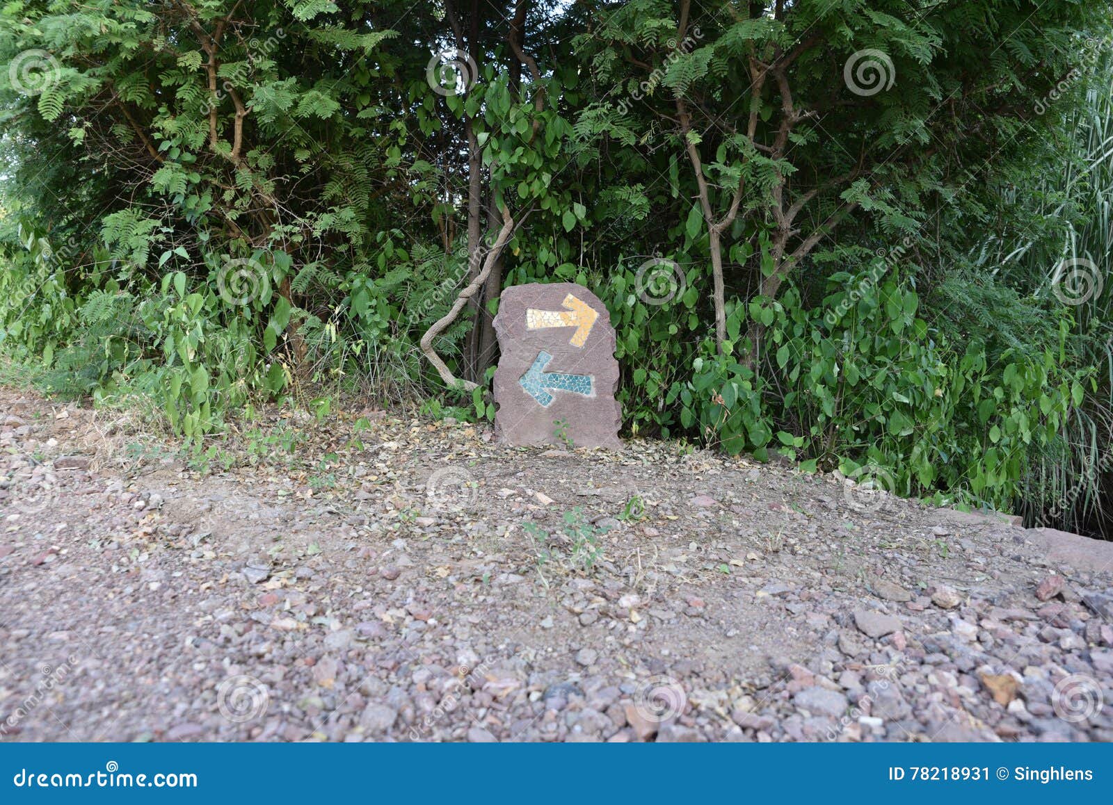 Choose Right Path, Direction Signs on a Natural Trail Stock Image ...