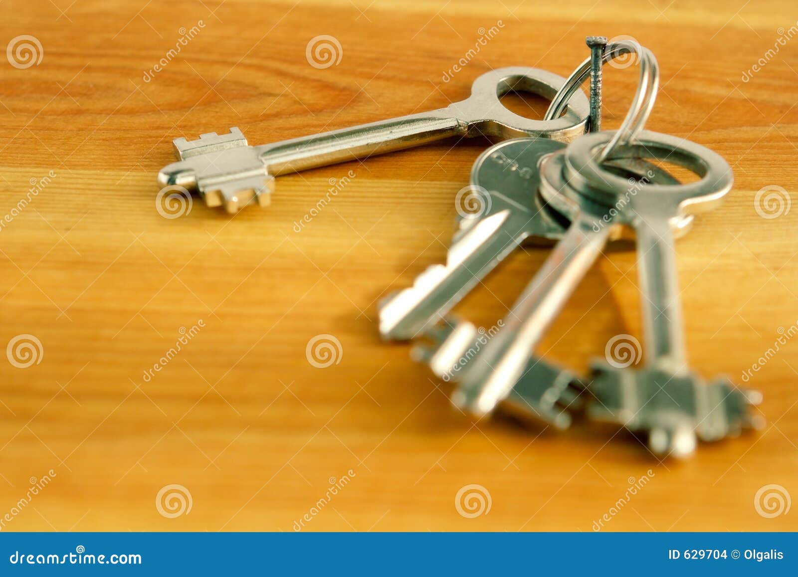 Choose a suitable key stock photo. Image of escape, house - 629704